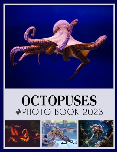 Octopuses Photo Book: Gorgeous Images For Relax And Unwind With 30 ...
