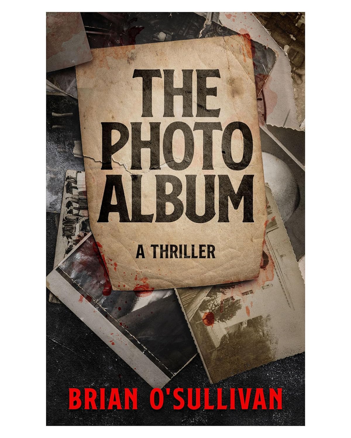 The Photo Album (Bobby McGowan #1) by Brian O'Sullivan | Goodreads
