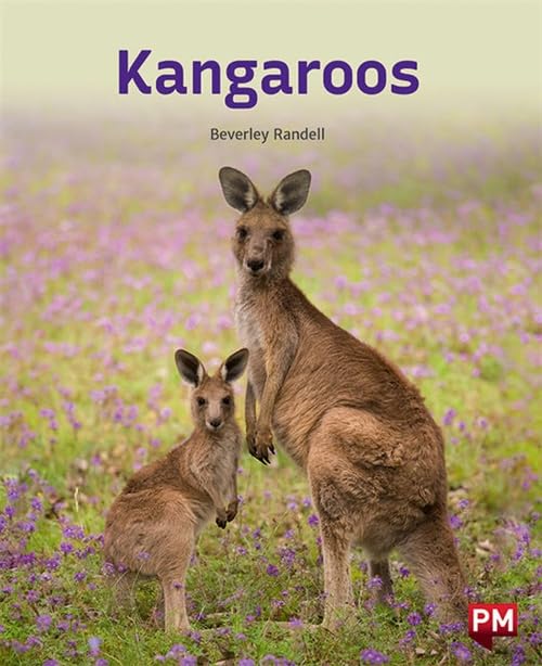 Kangaroos by Beverley Randell | Goodreads