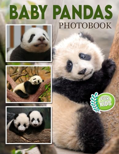 Baby Pandas Photo Book: Gorgeous Images For Relax And Unwind With ...