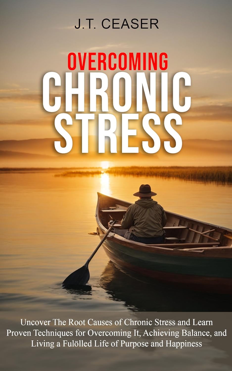 Overcoming Chronic Stress: Uncover The Root Causes of Chronic Stress ...