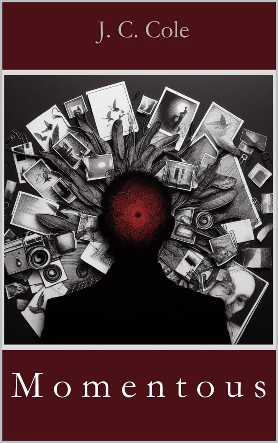 Momentous by J.C. Cole | Goodreads