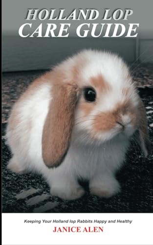 HOLLAND LOP CARE GUIDE: Keeping Your Holland lop Rabbits Happy and ...