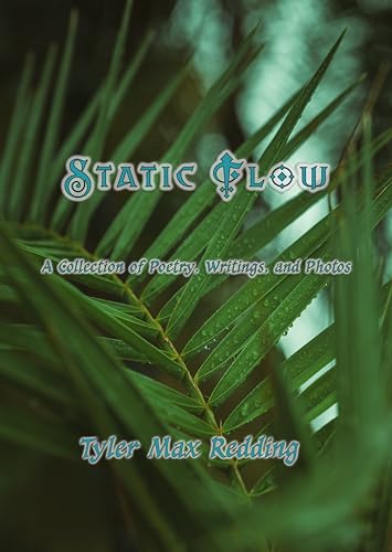 Static Flow by Tyler Max Redding | Goodreads