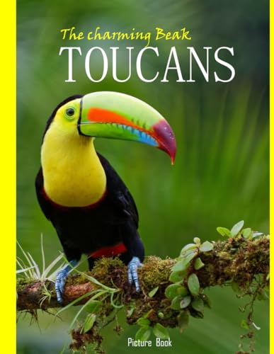 Toucans: Exploring the Vibrant World of Nature's Colorful Companions-50 ...