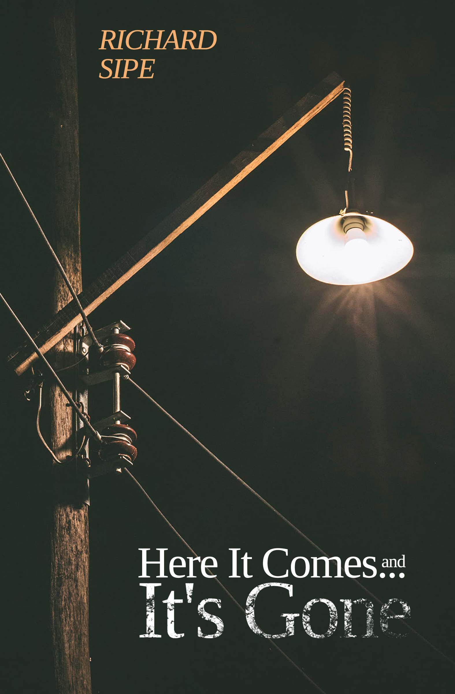 Here It Comes…and It’s Gone by Richard Sipe | Goodreads