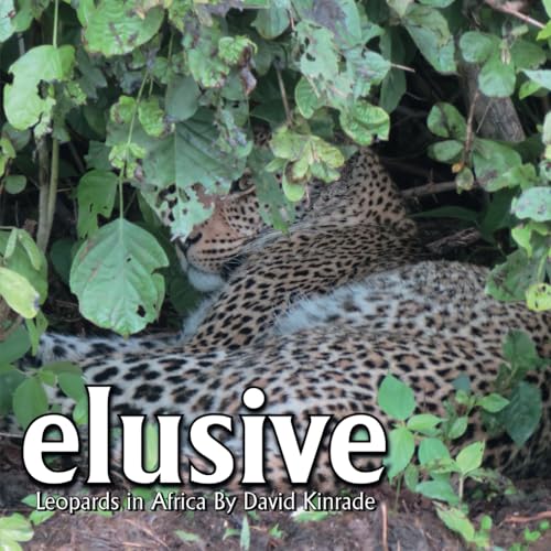 elusive: Leopards in Africa by David Kinrade | Goodreads