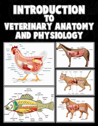 Introduction to Veterinary Anatomy and Physiology: cat, snake, rabbit ...