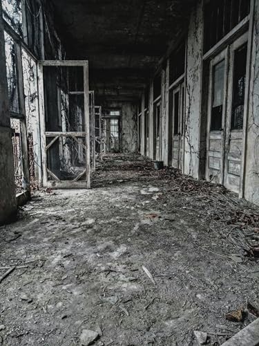 THE WITHERED GARDEN STATE: Abandoned and Haunted New Jersey by Jon ...