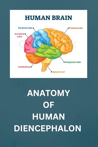 ANATOMY OF HUMAN DIENCEPHALON: DIENCEPHALON by LAWRENCE BULUS | Goodreads