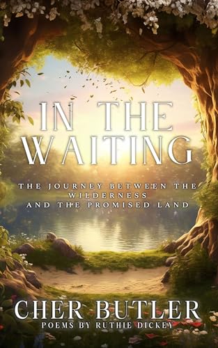 In The Waiting : The Journey Between the Wilderness and the Promised ...