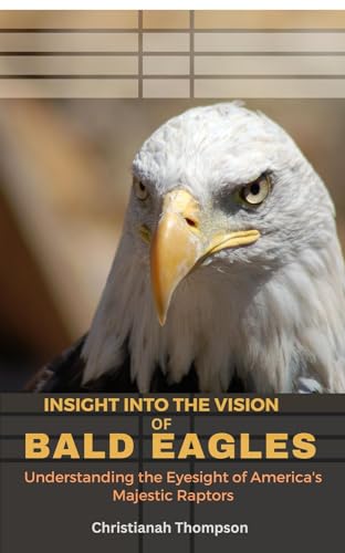 Insight into the Vision of Bald Eagles: Understanding the Eyesight of ...