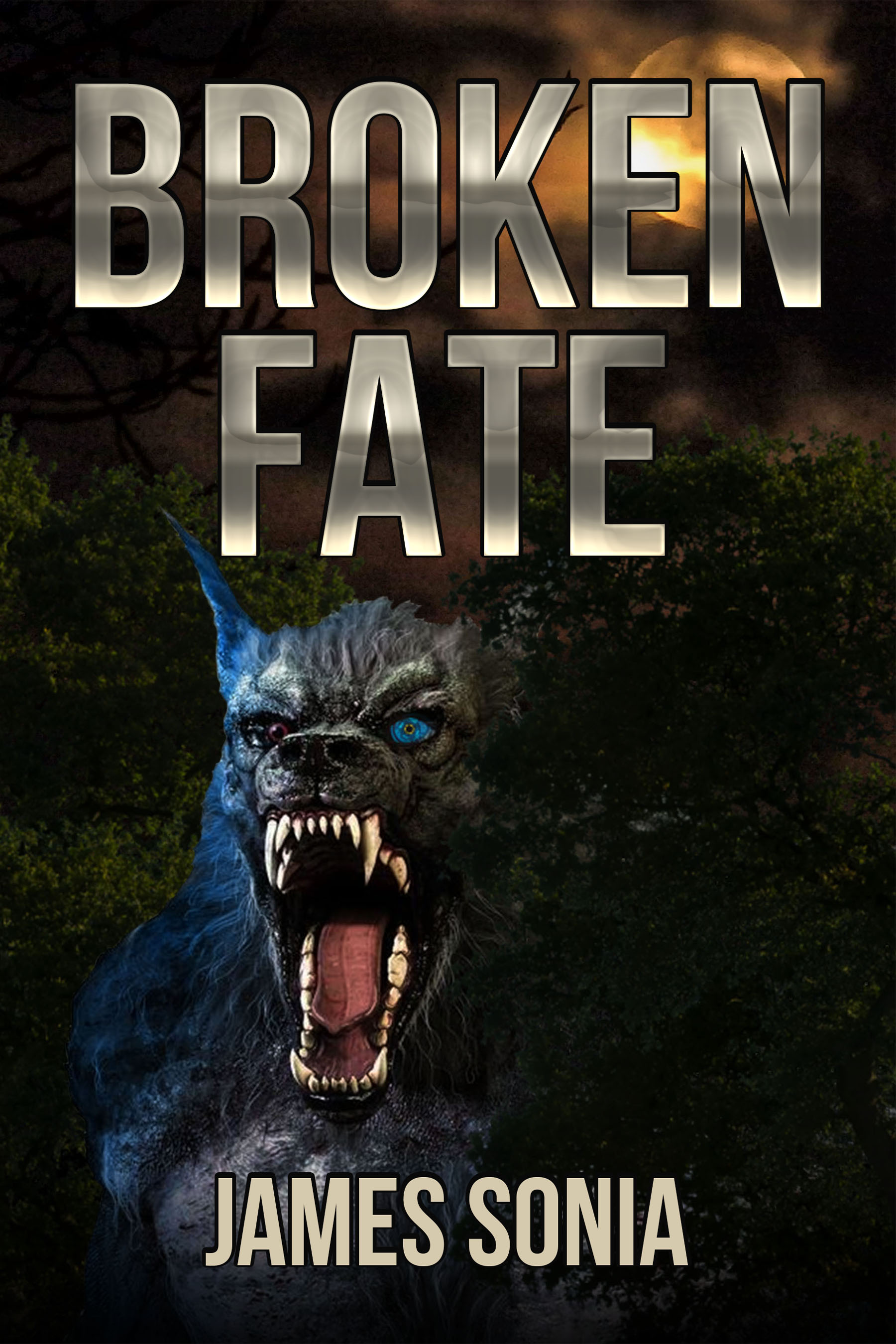 Broken Fate by James Sonia | Goodreads