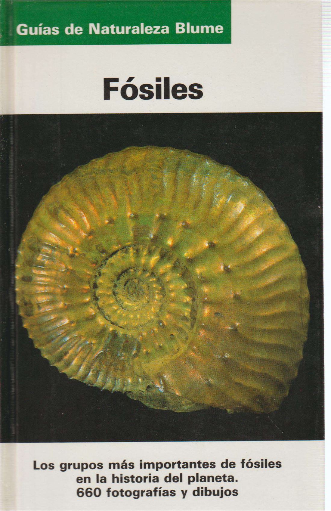 Fósiles by Karl Beurlen | Goodreads