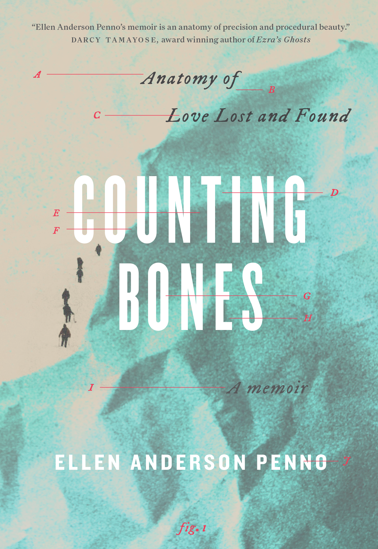 Counting Bones: Anatomy of Love Lost and Found by Ellen Anderson Penno ...