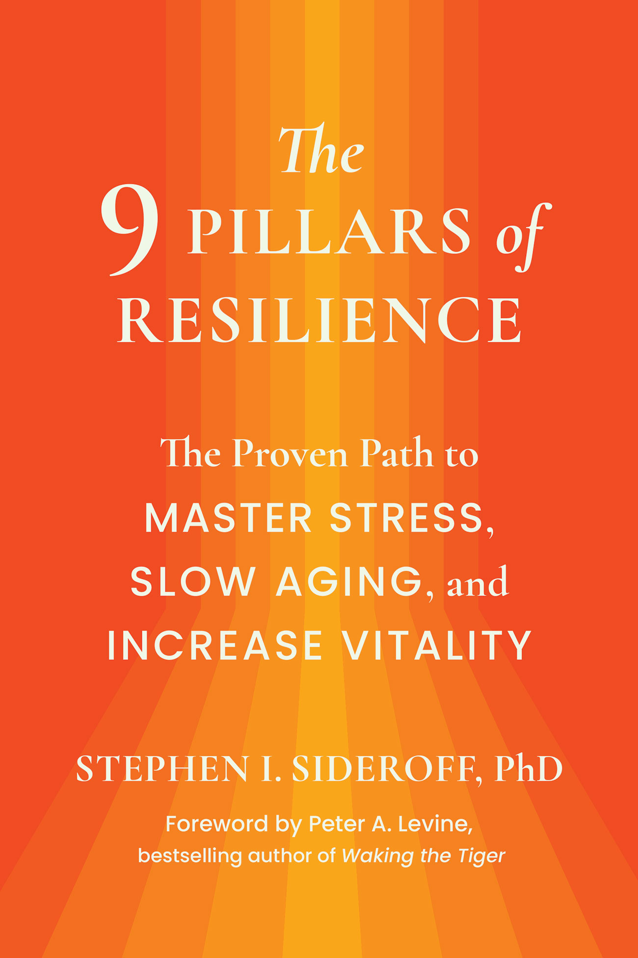 The 9 Pillars of Resilience: The Proven Path to Master Stress, Slow ...