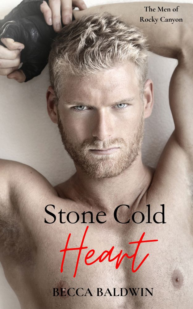 Stone Cold Heart by Becca Baldwin | Goodreads