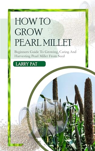 HOW TO GROW PEARL MILLET: Beginners guide to growing, caring and ...