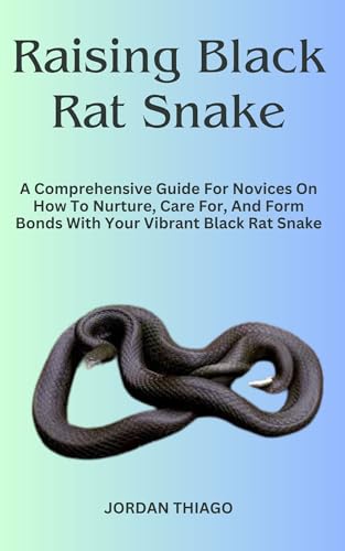 Raising Black Rat Snake: A Comprehensive Guide For Novices On How To ...