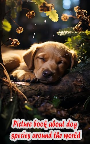 International Barkitecture: Showcasing the Architectural Diversity of ...