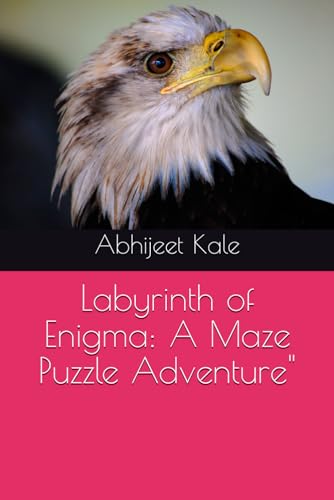 Labyrinth of Enigma: A Maze Puzzle Adventure" by Mr Abhijeet Naresh ...