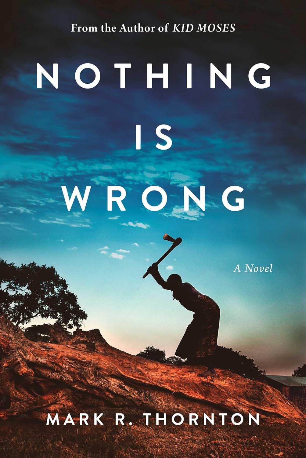 Nothing Is Wrong by Mark R. Thornton | Goodreads