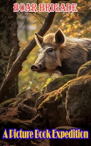 Wild Boar Wonders: Picture Book Adventures: Discover Picture Book ...