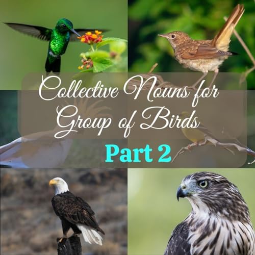 Collective Nouns for Birds - Part 2 by Sandip Pol | Goodreads