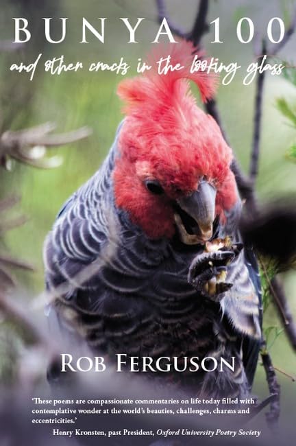 Bunya 100 by Heidi Ferguson | Goodreads