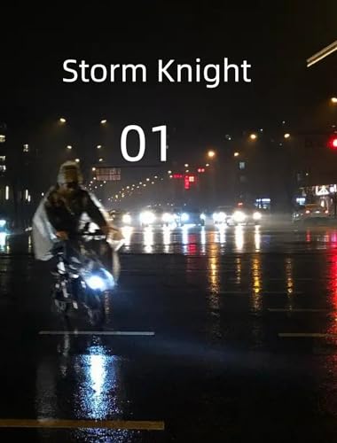 Storm Knight(1) by NOEMI VALENCIA | Goodreads