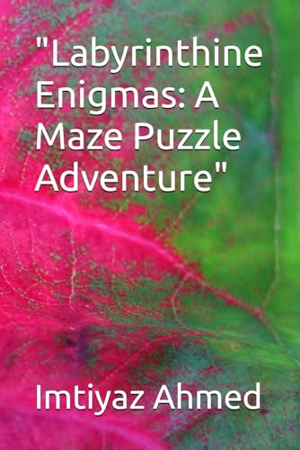"Labyrinthine Enigmas: A Maze Puzzle Adventure" by Mr Imtiyaz Ahmed ...