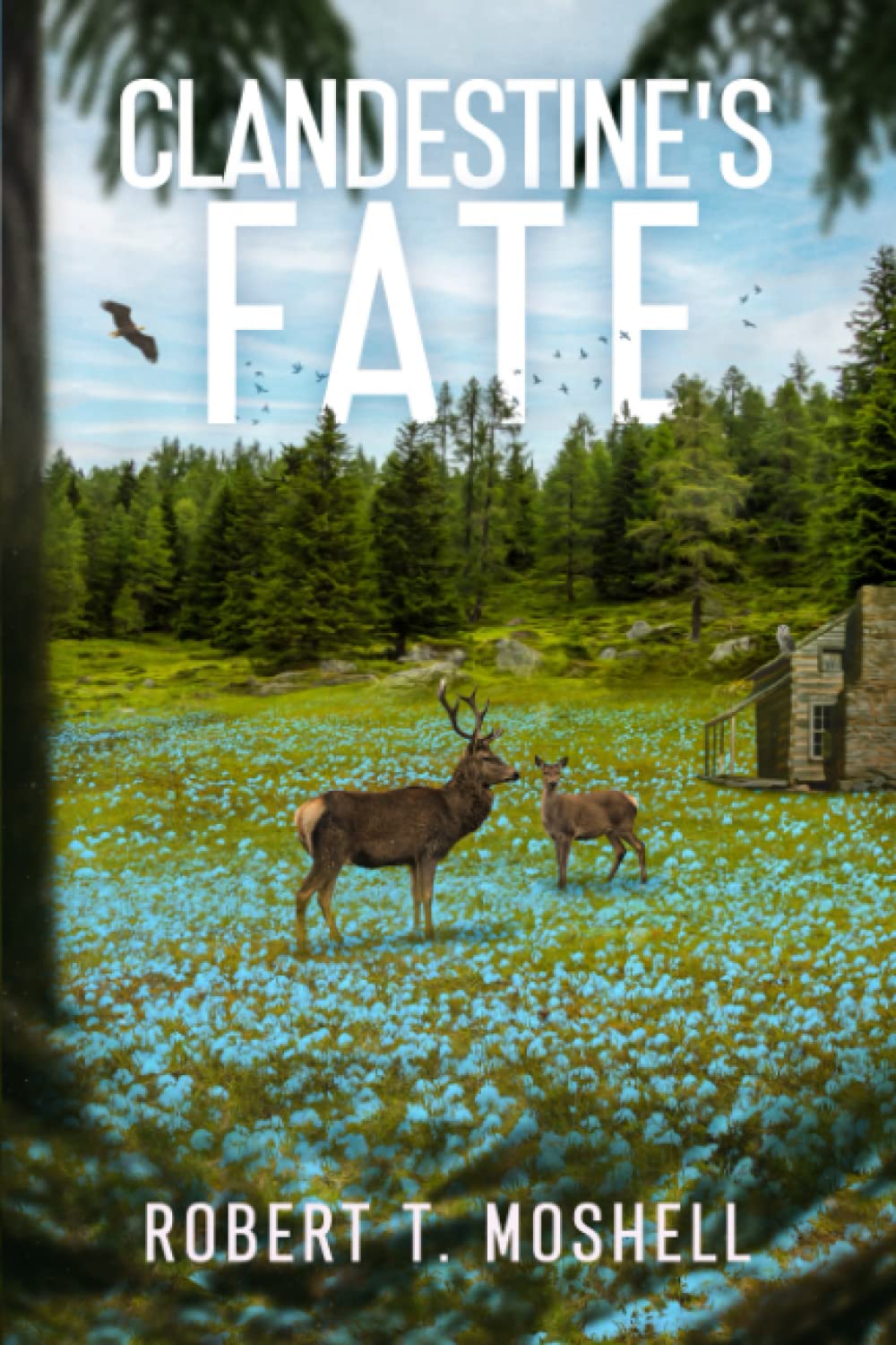 Clandestine's Fate: Book Two by Robert T. Moshell | Goodreads