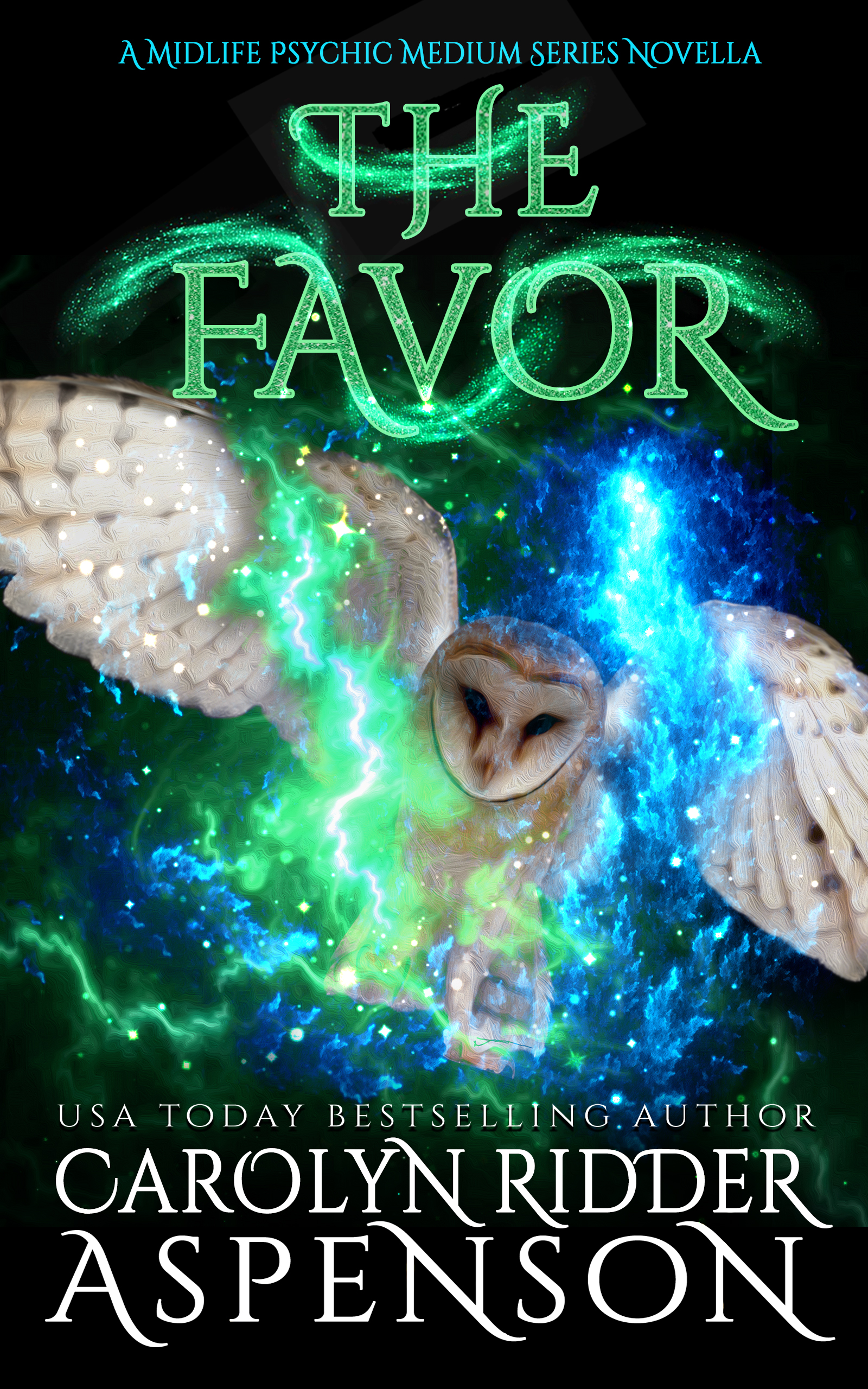 The Favor by Carolyn Ridder Aspenson | Goodreads