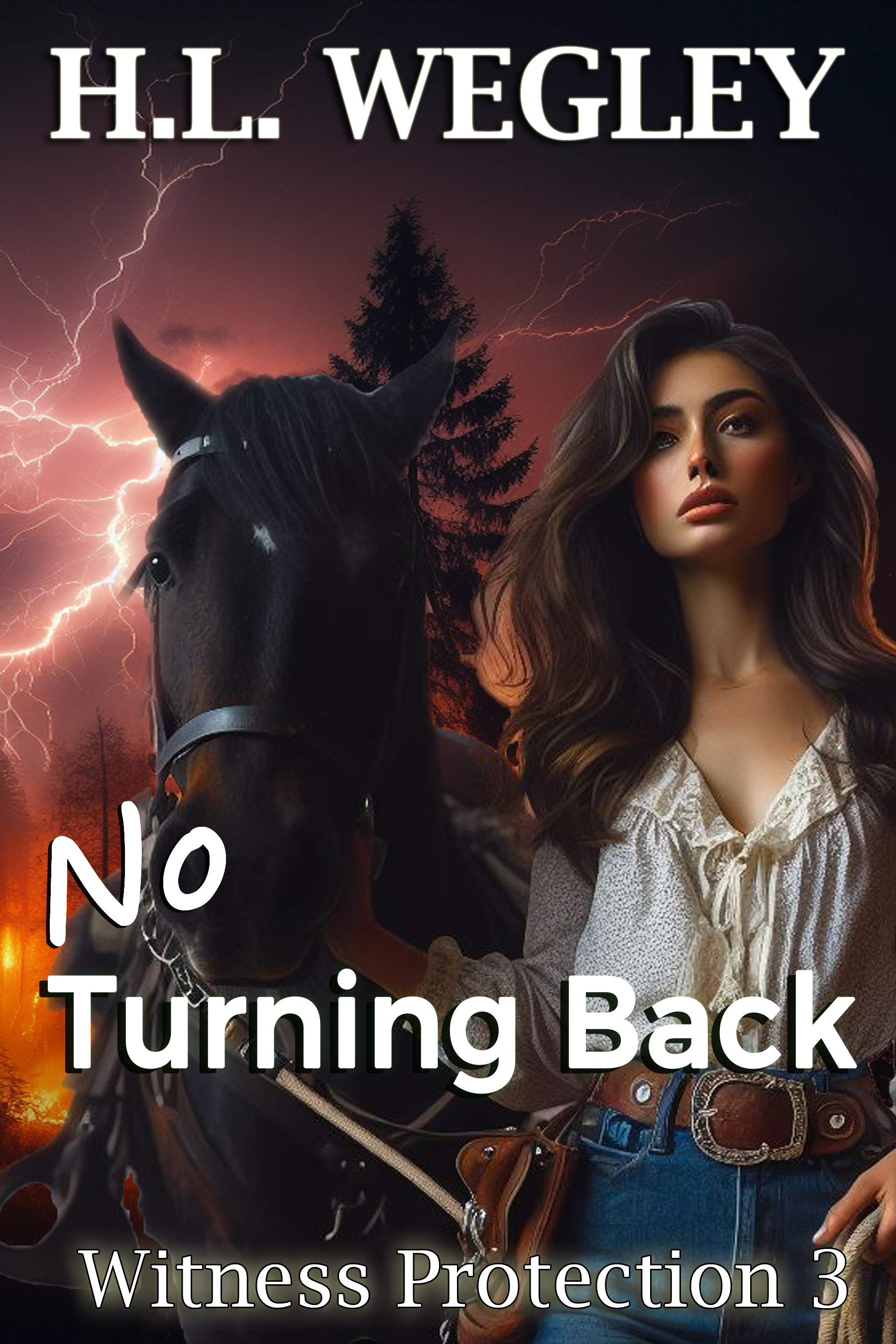No Turning Back (Witness Protection #3) by H.L. Wegley | Goodreads