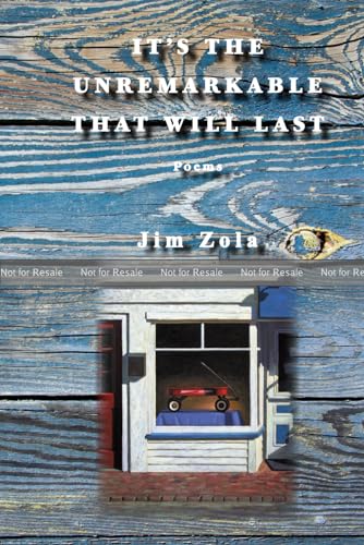 It's the Unremarkable that will Last by Jim Zola | Goodreads