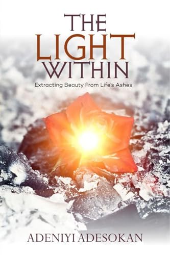 THE LIGHT WITHIN: Extracting Beauty From Life's Ashes by Adeniyi ...