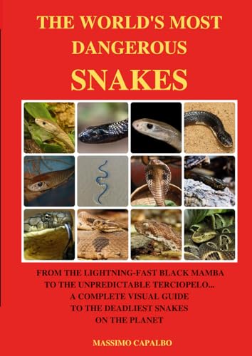 The World's Most Dangerous Snakes: From the lightning-fast Black Mamba ...