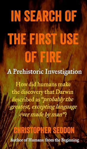 In Search of the First Use of Fire: How did humans make the discovery ...