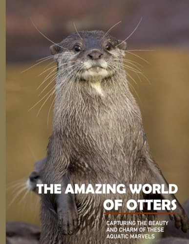 The Amazing World Of Otters: Capturing The Beauty And Charm Of These ...