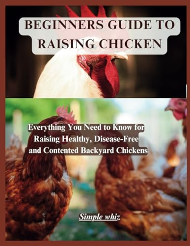 Beginners Guide To Raising Chicken: Everything You Need to Know for ...