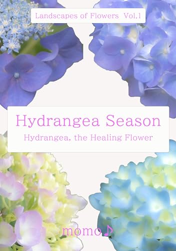 Hydrangea Season: Hydrangea ,the Healing Flower by momo ♪ | Goodreads