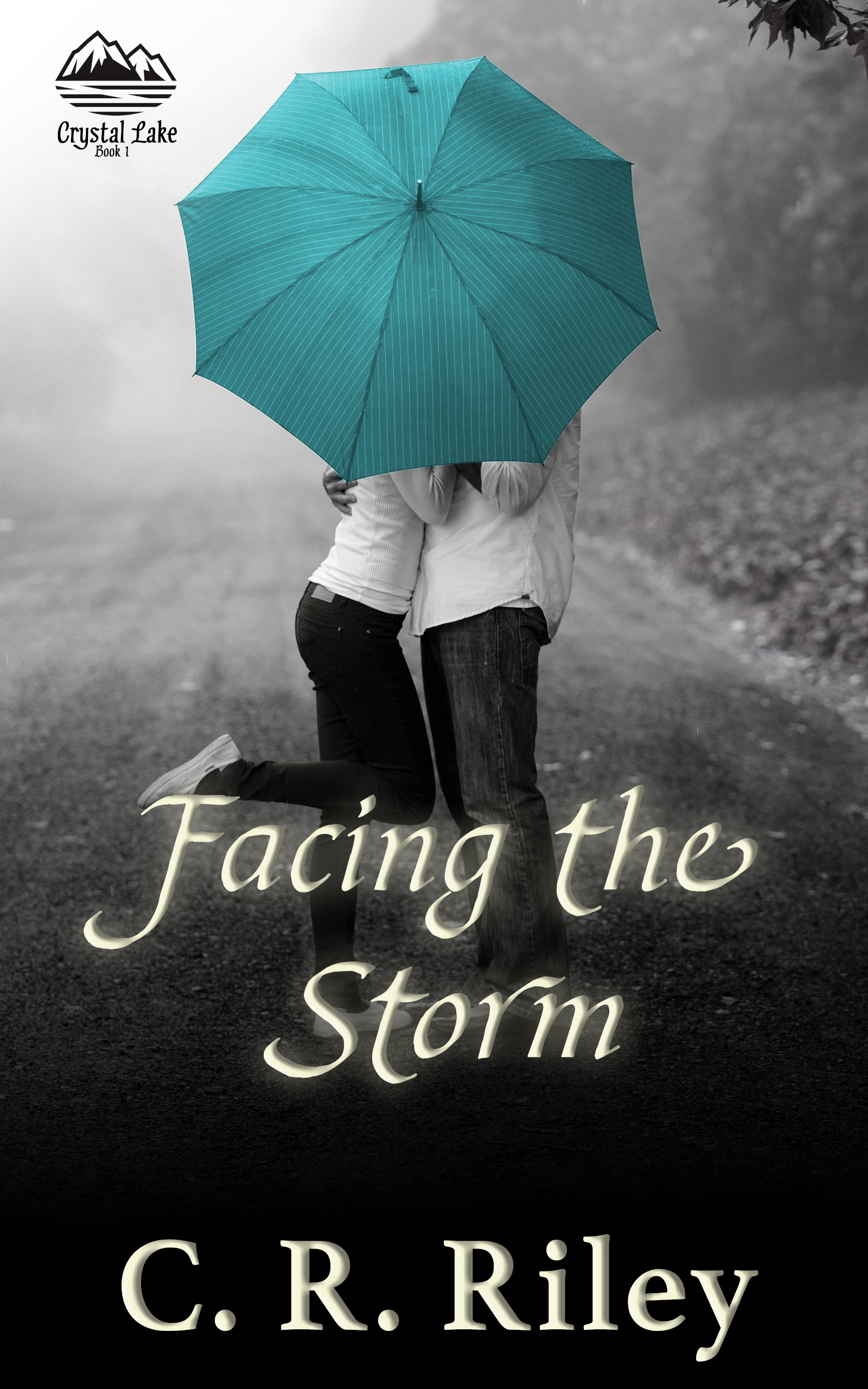 Facing the Storm (Crystal Lake, #1) by C.R. Riley | Goodreads