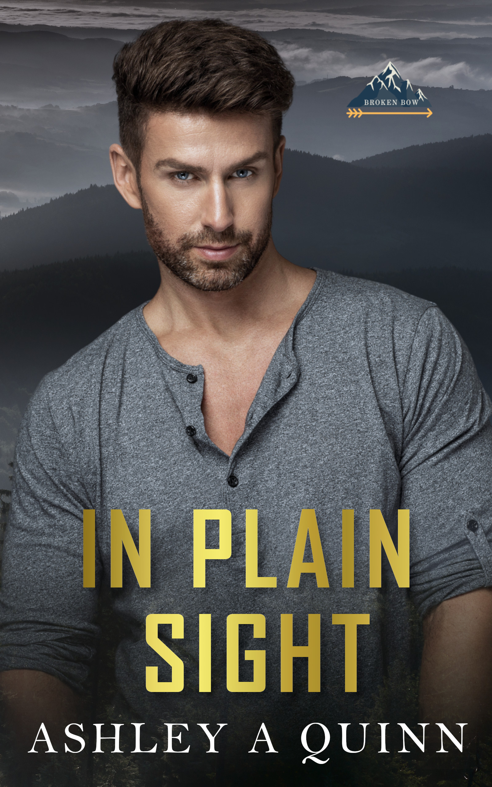In Plain Sight (Broken Bow #3) by Ashley A. Quinn | Goodreads
