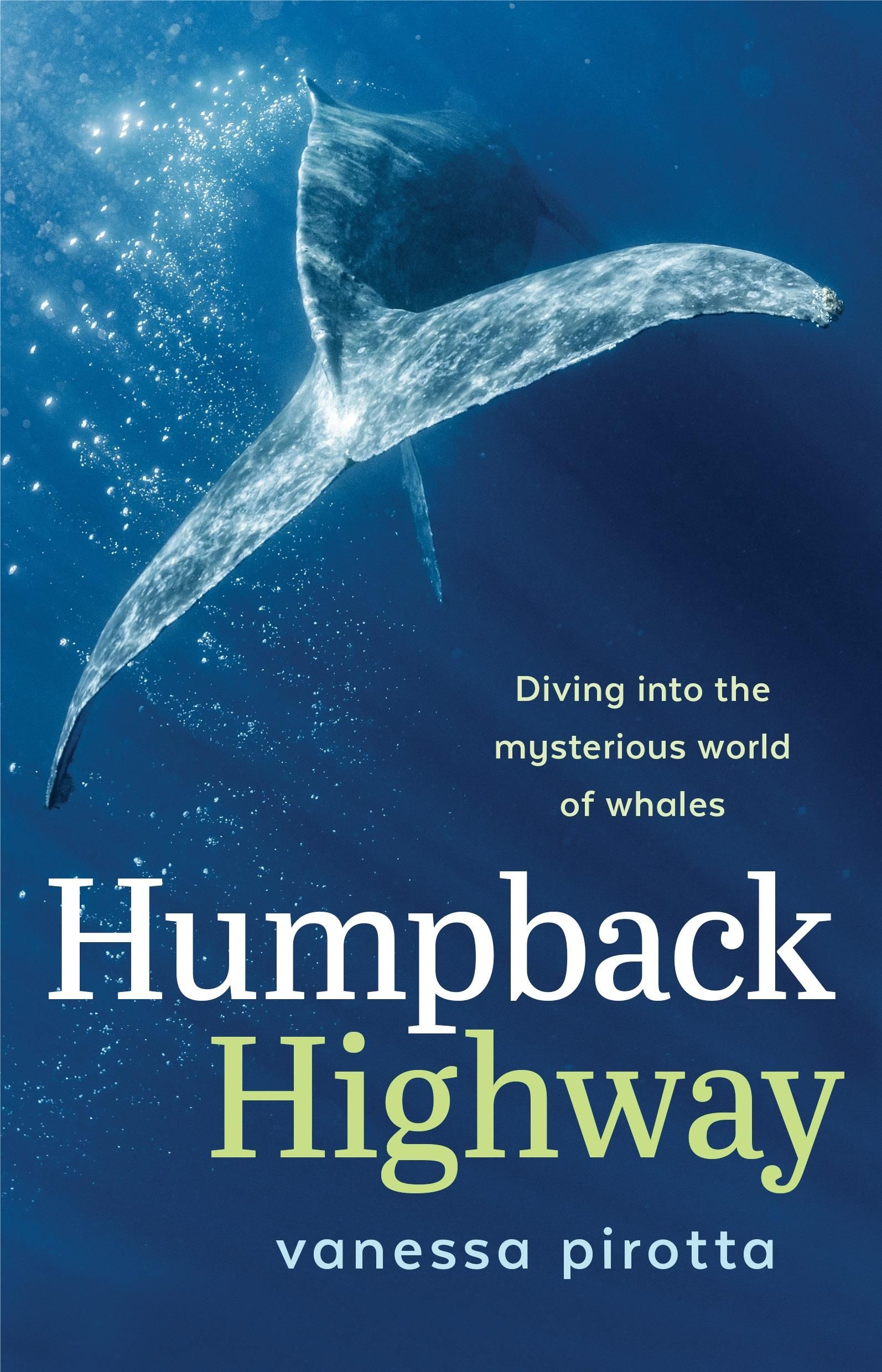 Humpback Highway: Diving Into the Mysterious World of Whales by Vanessa ...