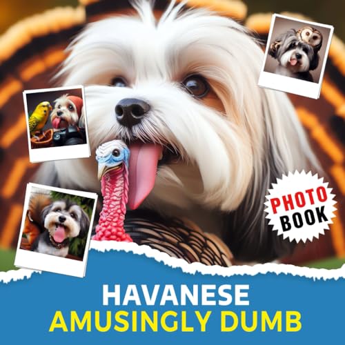 Havanese Amusingly Dumb Photobook: 40+ Amazing Photos Of Havanese ...