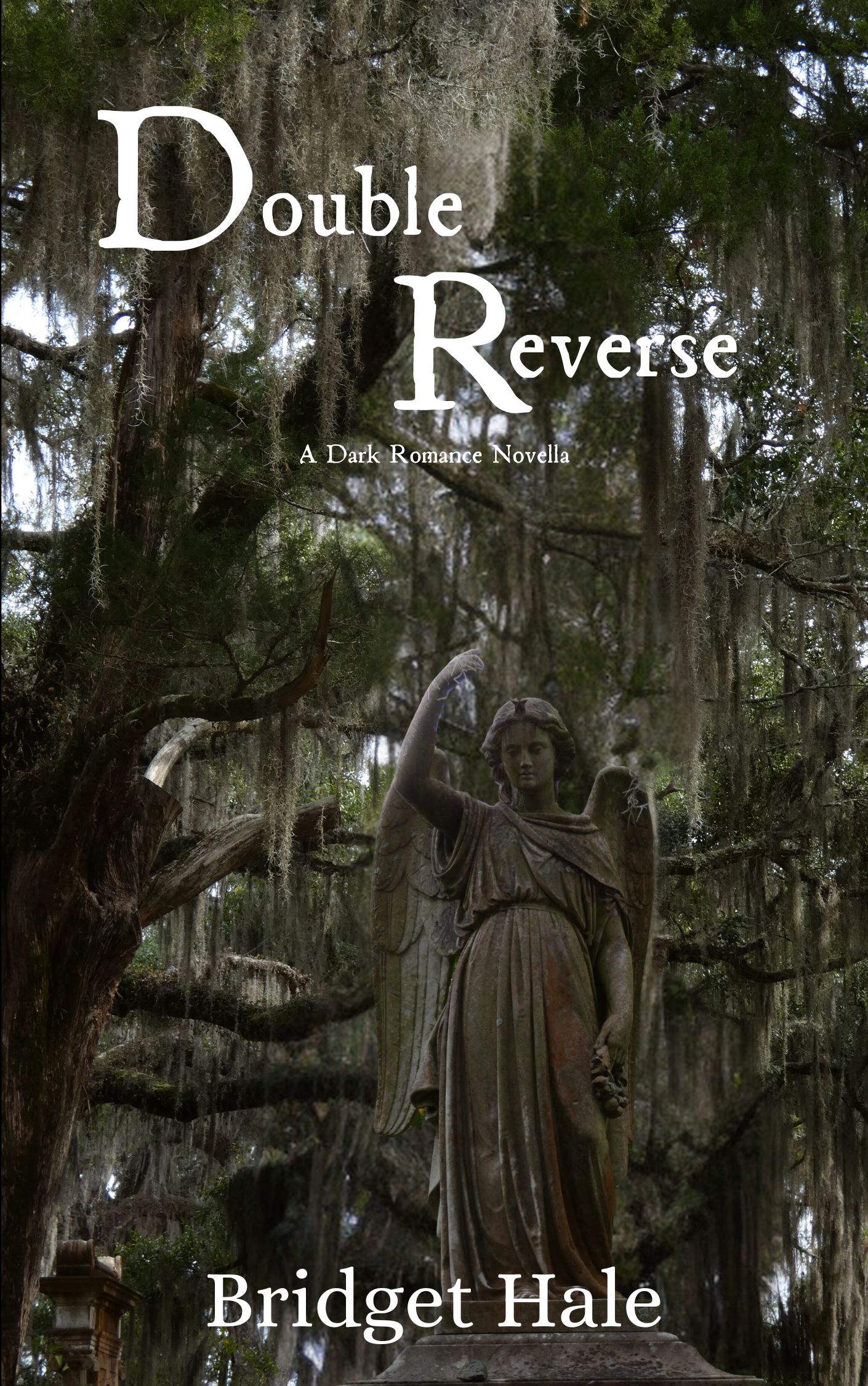 Double Reverse by Bridget Hale | Goodreads