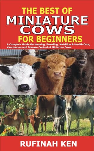 THE BEST OF MINIATURE COWS FOR BEGINNER’S: A Complete Guide On Housing ...