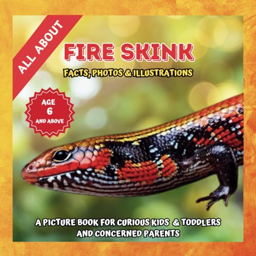 All about Fire Skink | Facts, Photos and Illustrations: A Picture Book ...