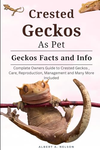 CRESTED GECKOS AS PET: Complete owners guide to Crested Geckos training ...