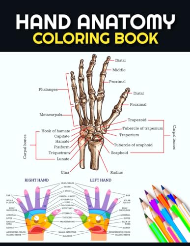 Human Hand Anatomy Coloring Book: Human Hand Anatomy Coloring Book With ...
